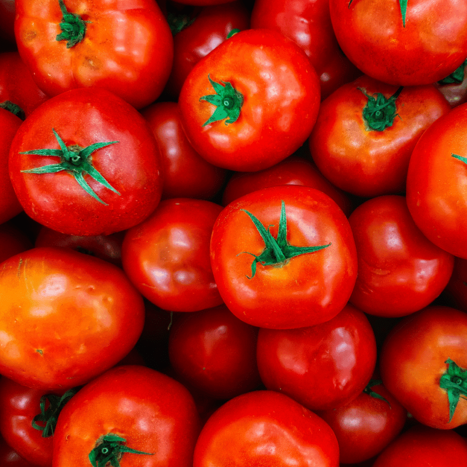 Farm-Fresh Tomatoes & Produce in Accra | Caserta Farms Ghana
